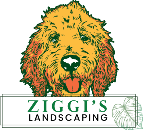 Ziggi's Landscaping – Best Landscaping Company in Tampa Bay